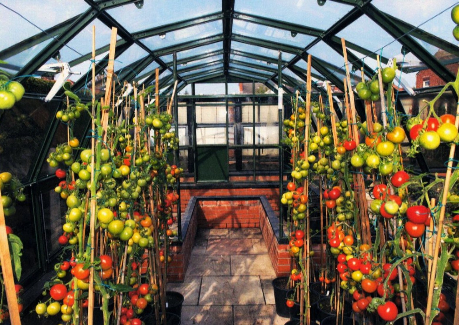 Hartley 10 Greenhouse Case Study - Hartley Botanic