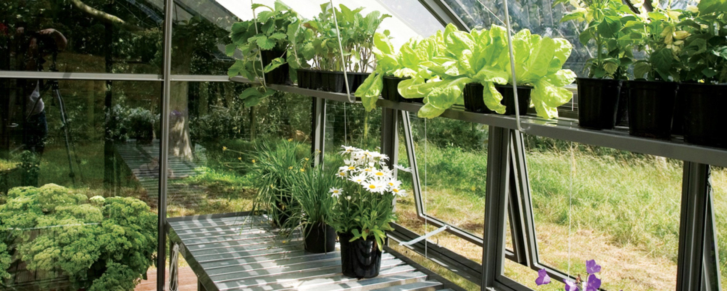 Vista Greenhouses - Hartley Botanic