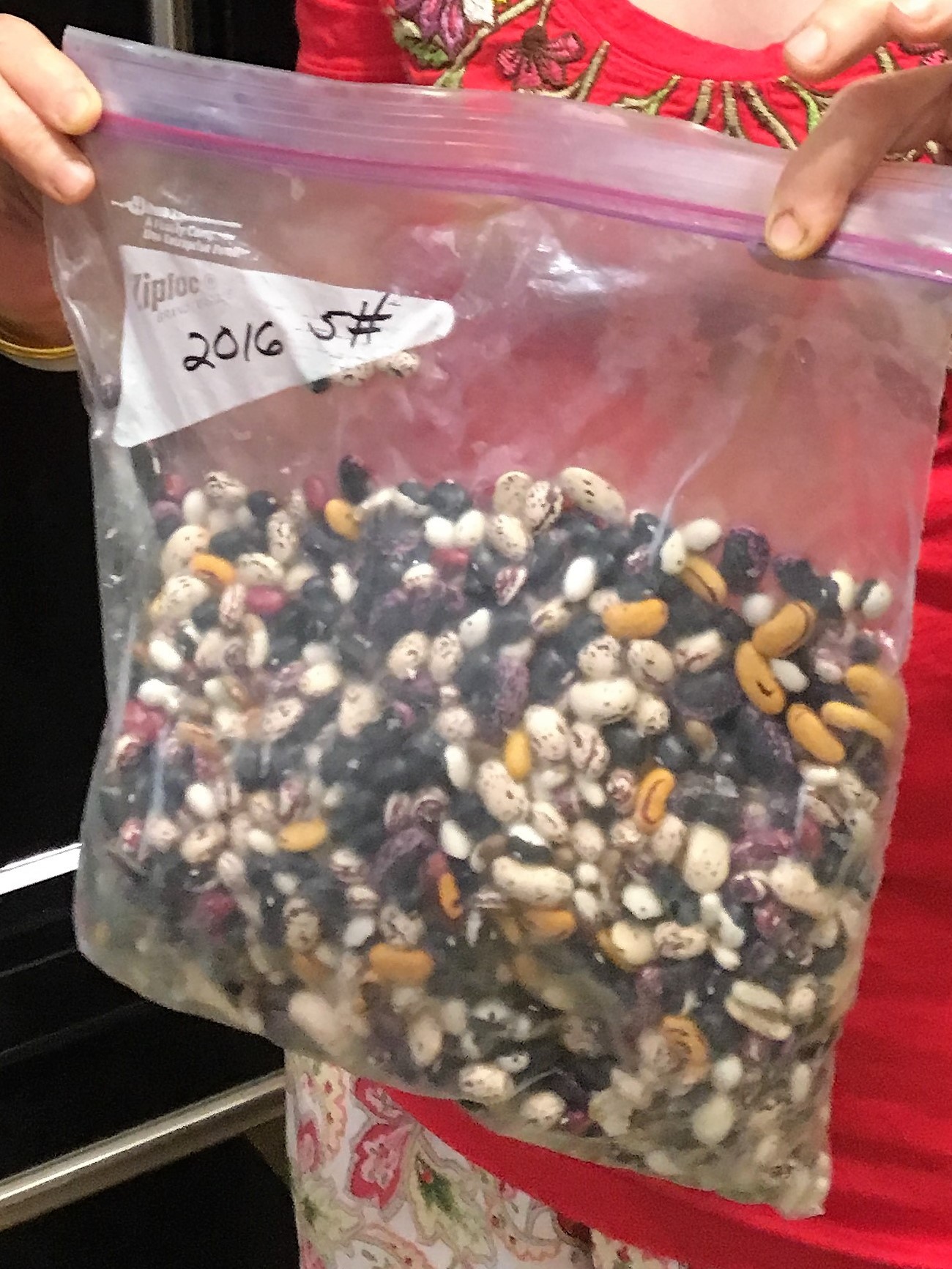 Beans—Easy to grow, nourishing comfort food, and gorgeous! - by Mary ...