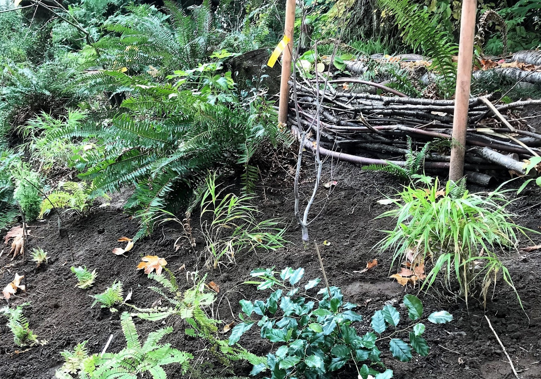 Fascine—An ancient hill holder for modern gardens - by Mary-Kate Mackey