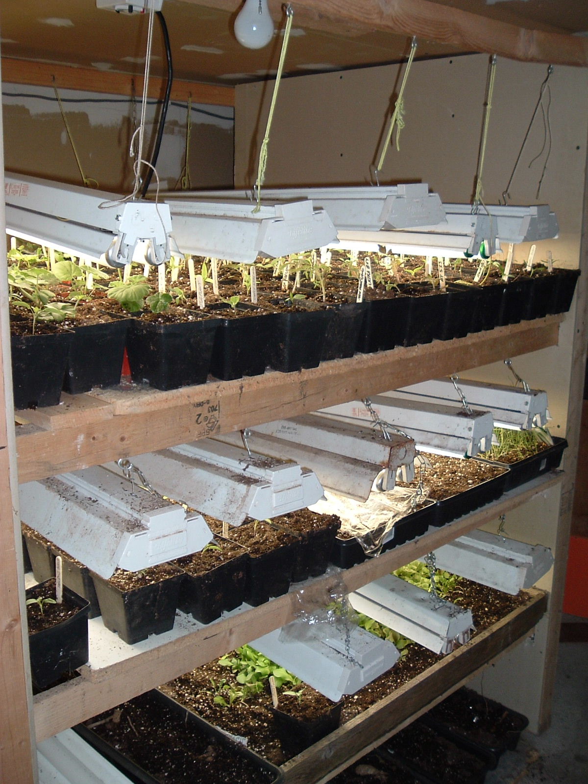 Seed Starting in a Small Greenhouse - by Roger Marshall