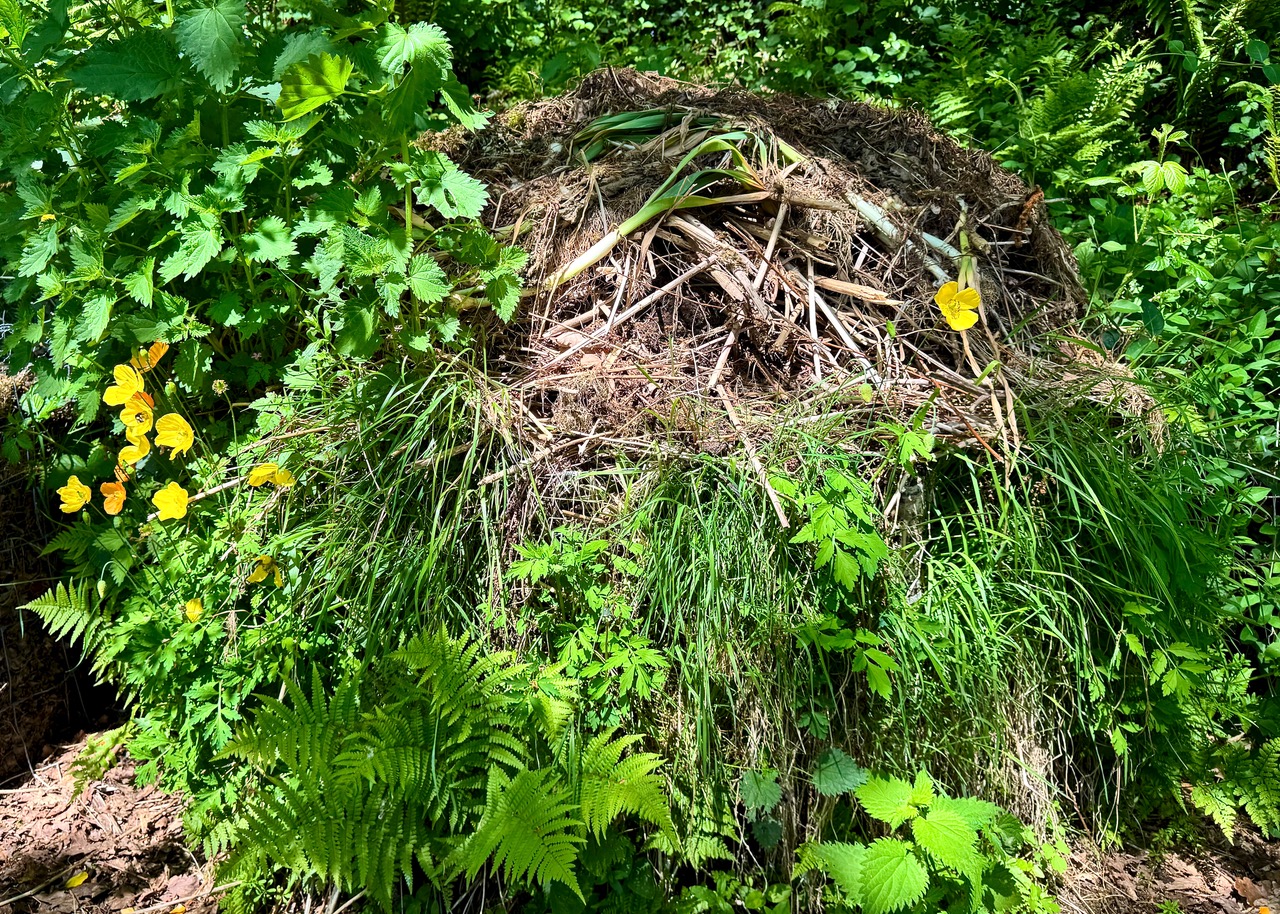 Heap of life - by John Walker